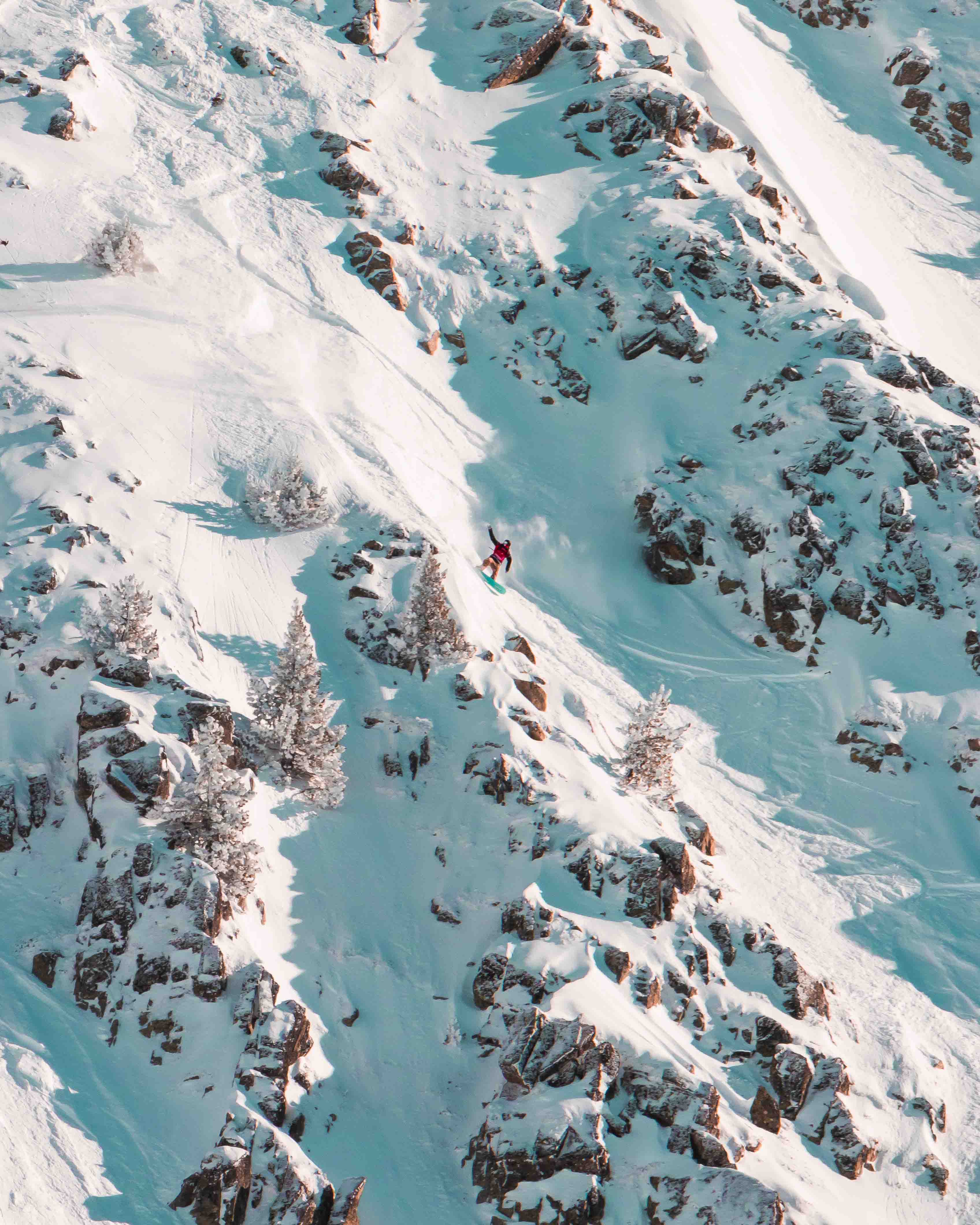 Vertic Media | PORTFOLIO